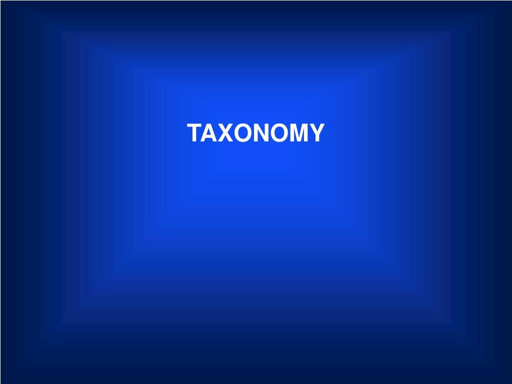 PPT - TAXONOMY PowerPoint Presentation, free download - ID:5372597