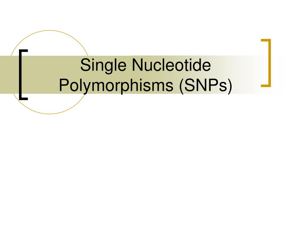 PPT - Single Nucleotide Polymorphisms (SNPs) PowerPoint Presentation ...