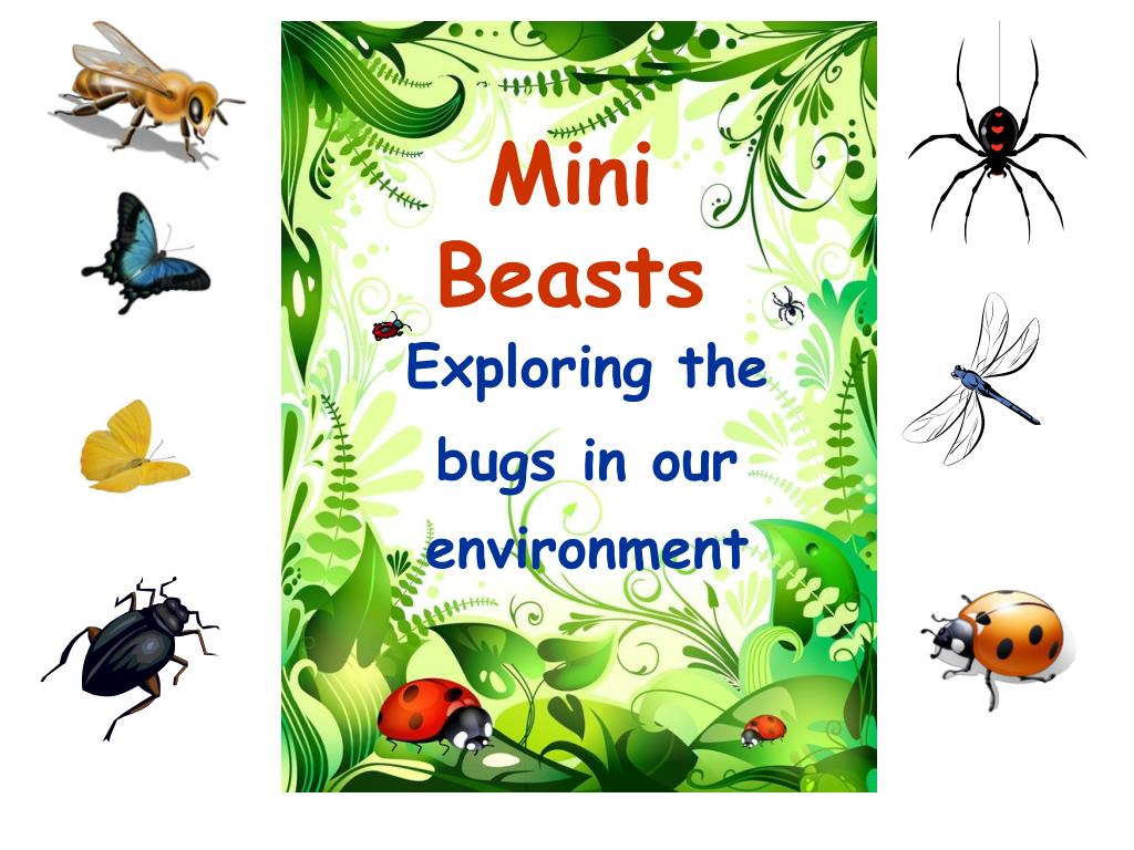 PPT - Mini Beasts PowerPoint Presentation, free download - ID:5375334