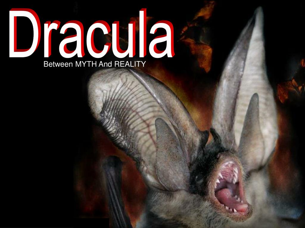 PPT - Dracula PowerPoint Presentation, free download - ID:5375481