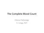 PPT - Complete Blood Count Test PowerPoint Presentation, free download ...