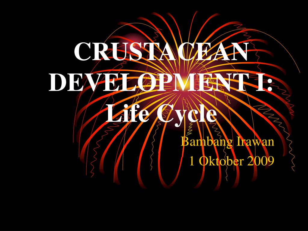 PPT - CRUSTACEAN DEVELOPMENT I: Life Cycle PowerPoint Presentation ...