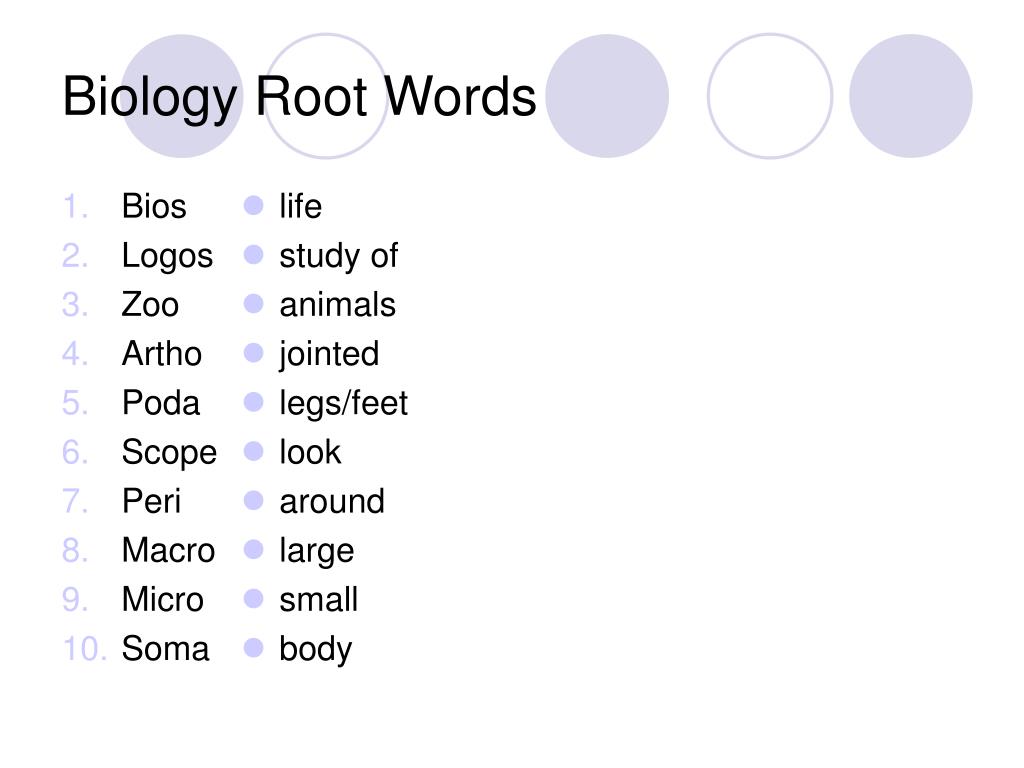 PPT - Biology Root Words PowerPoint Presentation, free download - ID ...