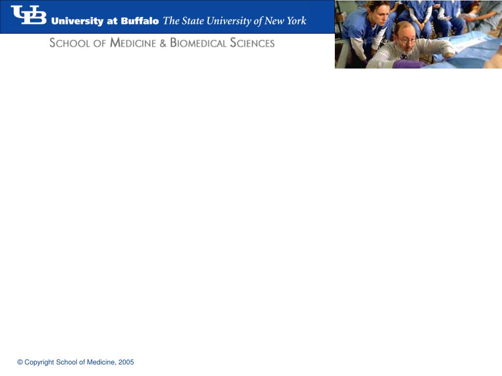 PPT - UB Template 6 PowerPoint Presentation, free download - ID:5382894