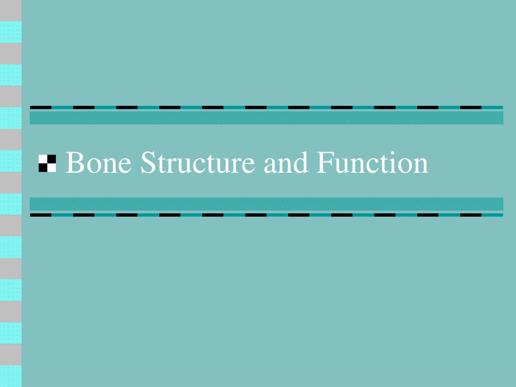 PPT - Bone Structure and Function PowerPoint Presentation, free ...