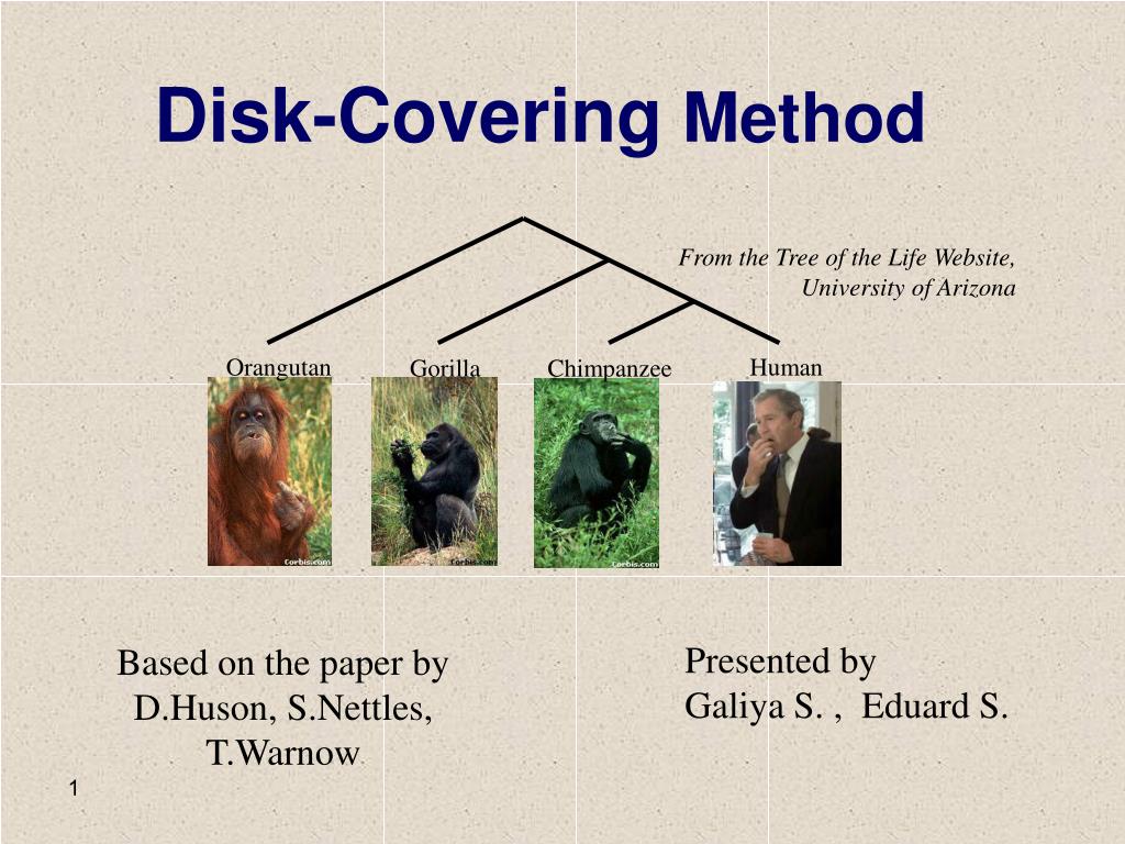 PPT - Disk-Covering Method PowerPoint Presentation, free download - ID ...