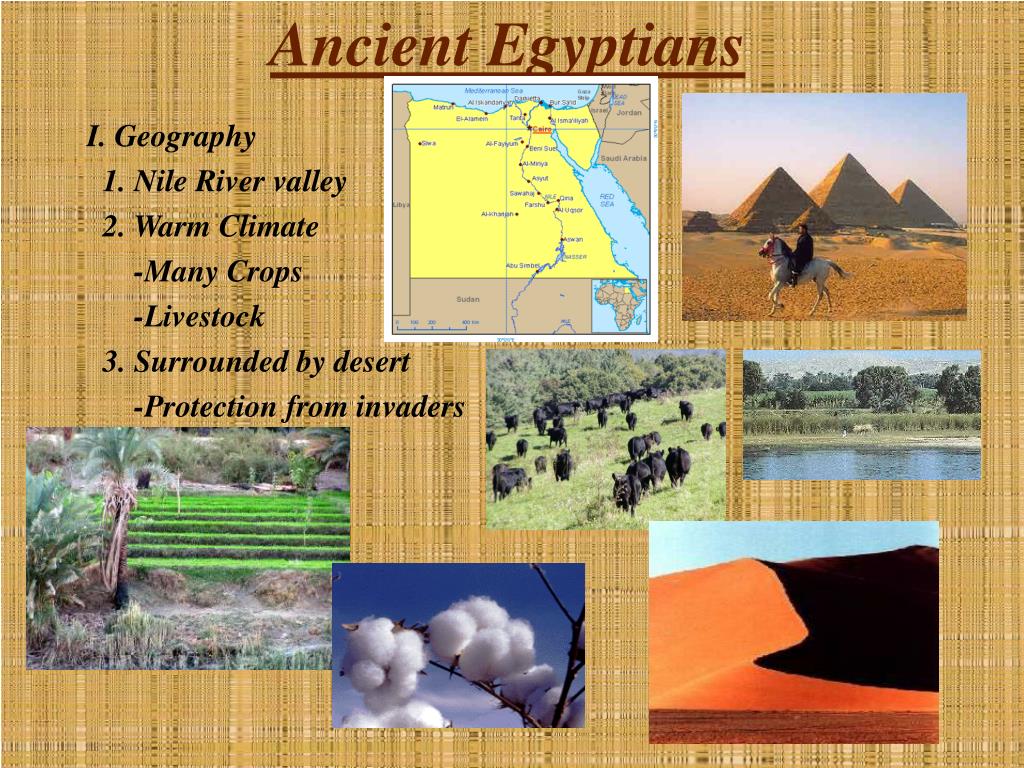 PPT - Ancient Egyptians PowerPoint Presentation, free download - ID:5389423