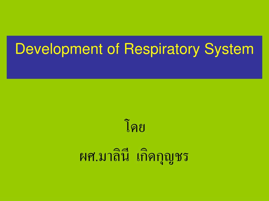 PPT - Development of Respiratory System PowerPoint Presentation, free ...