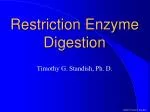 PPT - Restriction Digestion and Analysis of Lambda DNA Kit PowerPoint ...