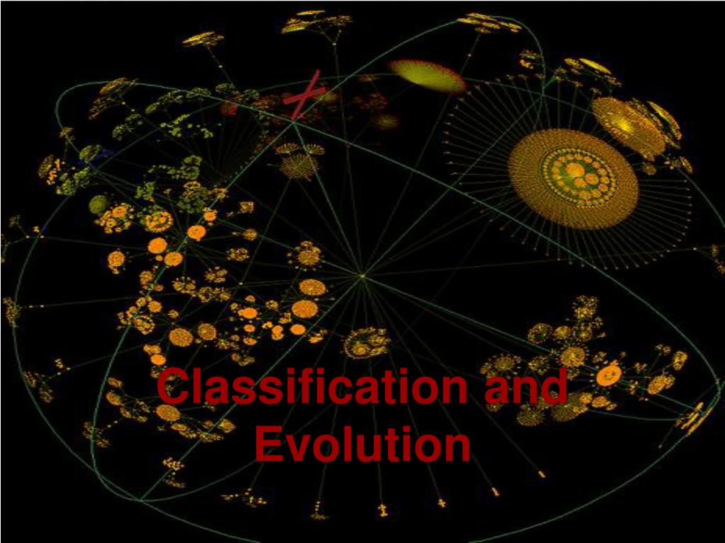 PPT - Classification and Evolution PowerPoint Presentation, free ...