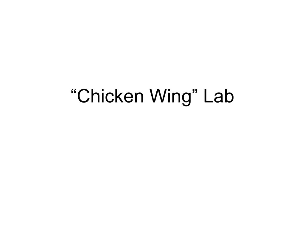PPT - “Chicken Wing” Lab PowerPoint Presentation, free download - ID ...