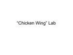 PPT - Chicken Wing Dissection PowerPoint Presentation, free download ...
