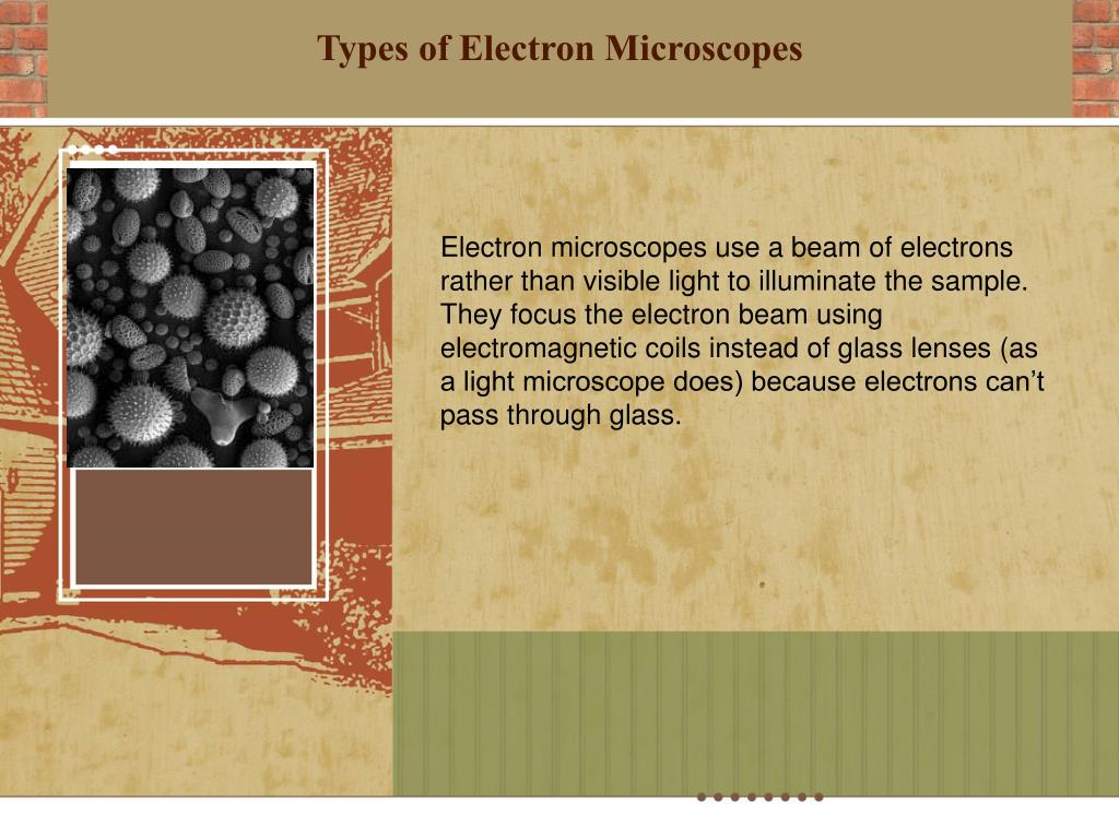 PPT - Types of Electron Microscopes PowerPoint Presentation, free ...