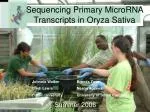 PPT - ORYZA CERAMIDE PowerPoint Presentation, free download - ID:3669046