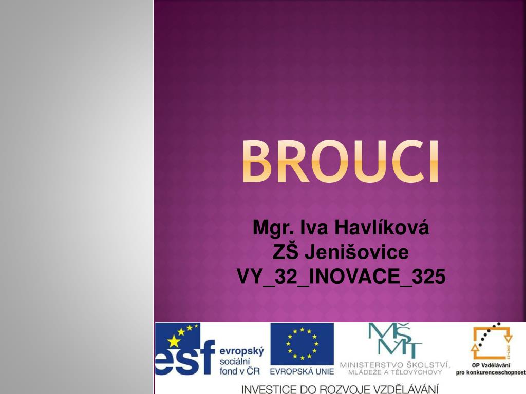 PPT - Brouci PowerPoint Presentation, free download - ID:5393925