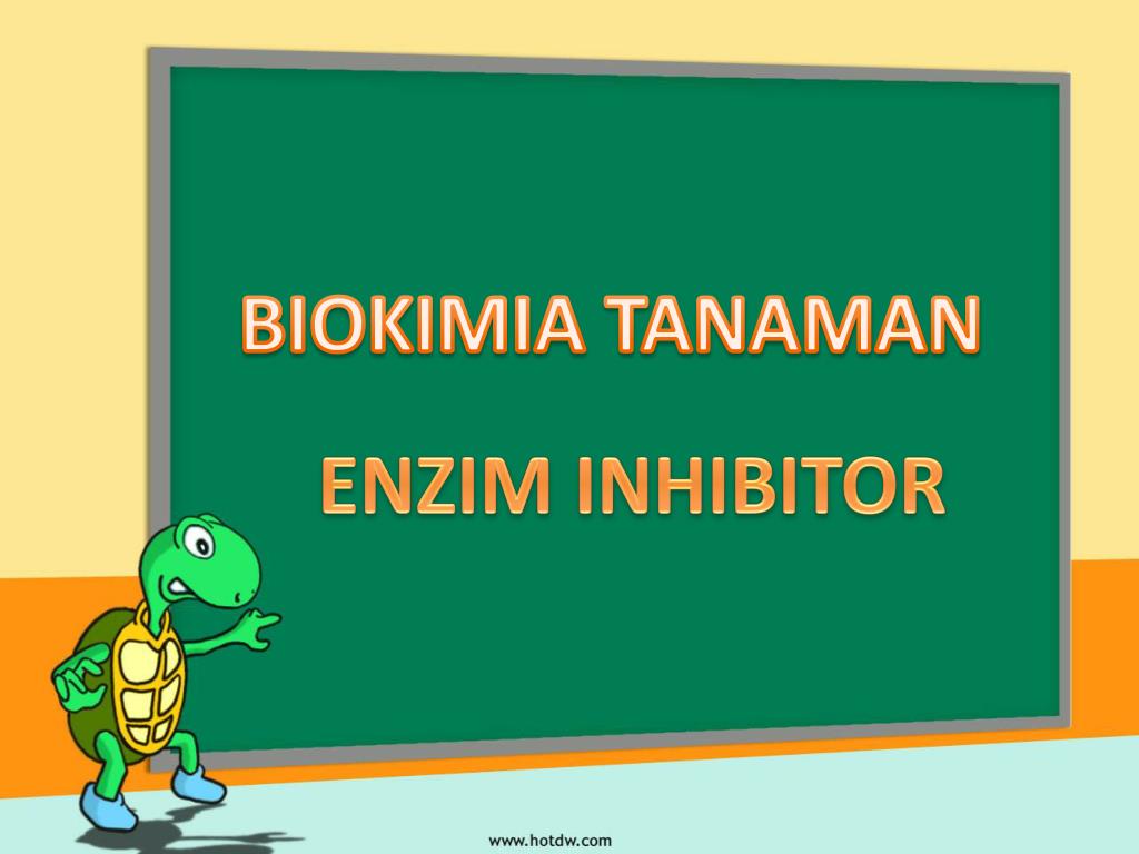 PPT - BIOKIMIA TANAMAN PowerPoint Presentation, free download - ID:5394637