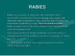 PPT - Rabies PowerPoint Presentation, free download - ID:8972