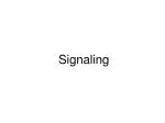 PPT - Use Visual Signaling Techniques PowerPoint Presentation, free ...