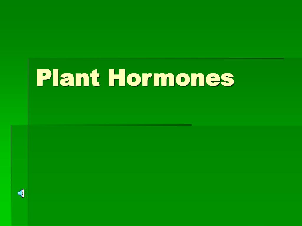 PPT - Plant Hormones PowerPoint Presentation, free download - ID:5402342
