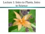 PPT - Unit 1 Intro to Science PowerPoint Presentation, free download ...