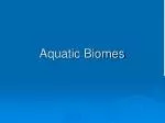 PPT - AQUATIC BIOMES PowerPoint Presentation, free download - ID:1425968