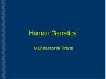 PPT - Human Genetics PowerPoint Presentation, free download - ID:6322759