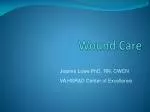 PPT - CPT Codes for Active Wound Care Management PowerPoint ...
