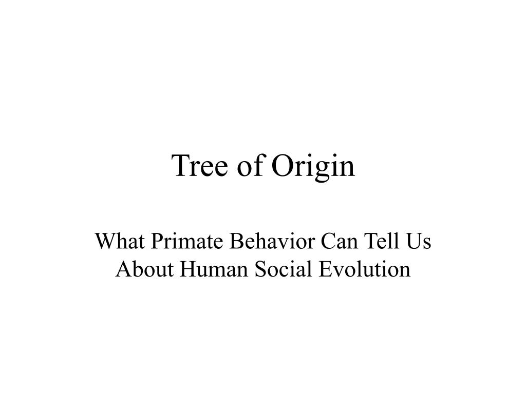 PPT - Tree of Origin PowerPoint Presentation, free download - ID:5405013