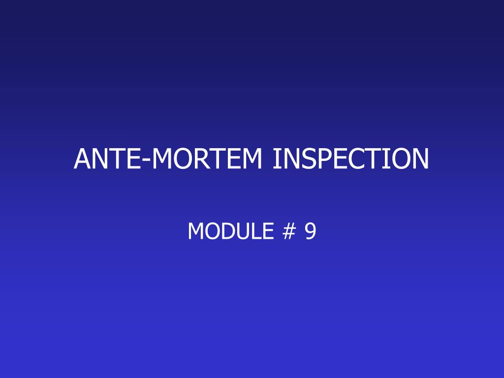 PPT - ANTE-MORTEM INSPECTION PowerPoint Presentation, free download - ID:5405673