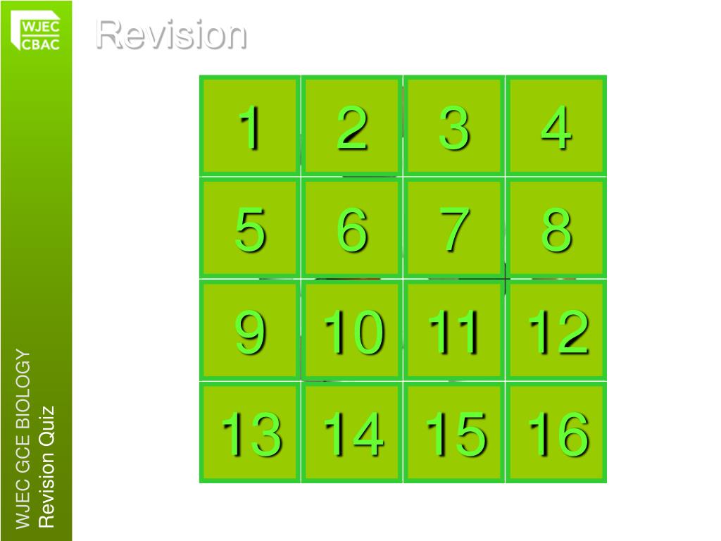 PPT - Revision PowerPoint Presentation, free download - ID:5405935