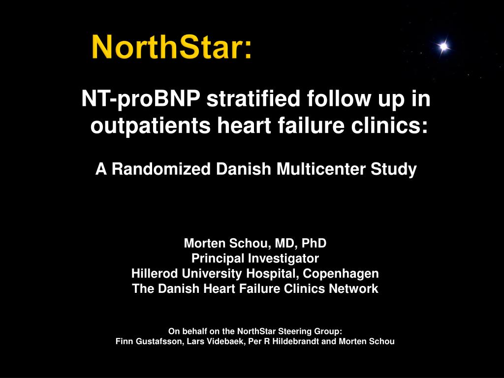 PPT - NorthStar : PowerPoint Presentation, free download - ID:5407482