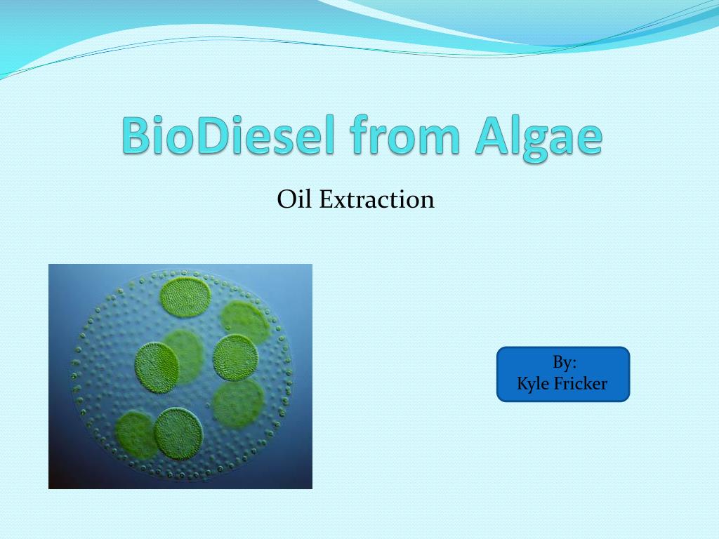 PPT - BioDiesel from Algae PowerPoint Presentation, free download - ID ...
