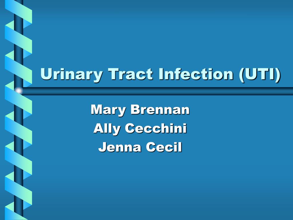 PPT - Urinary Tract Infection (UTI) PowerPoint Presentation, free ...