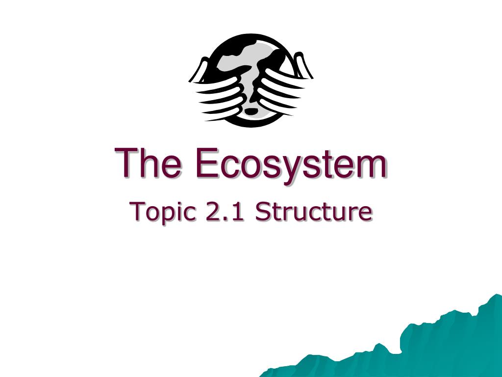 PPT - The Ecosystem PowerPoint Presentation, free download - ID:5408713