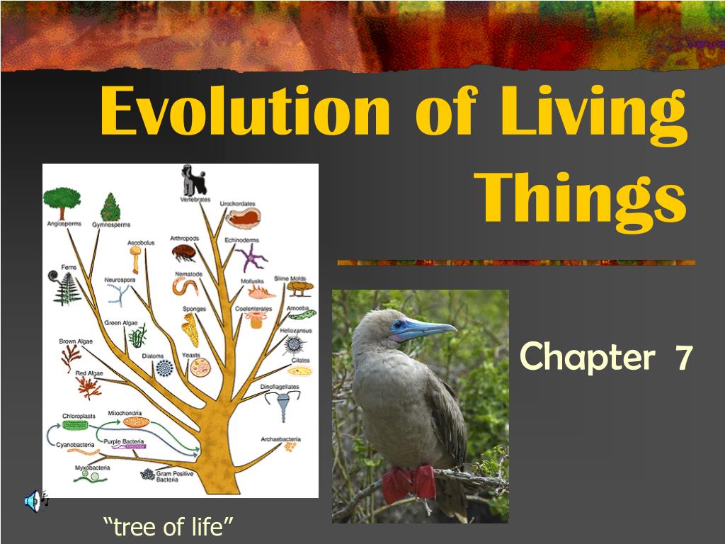 PPT - Evolution of Living Things PowerPoint Presentation, free download ...