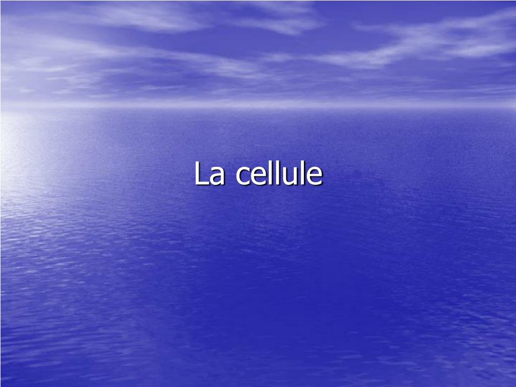 PPT - La cellule PowerPoint Presentation, free download - ID:5410133