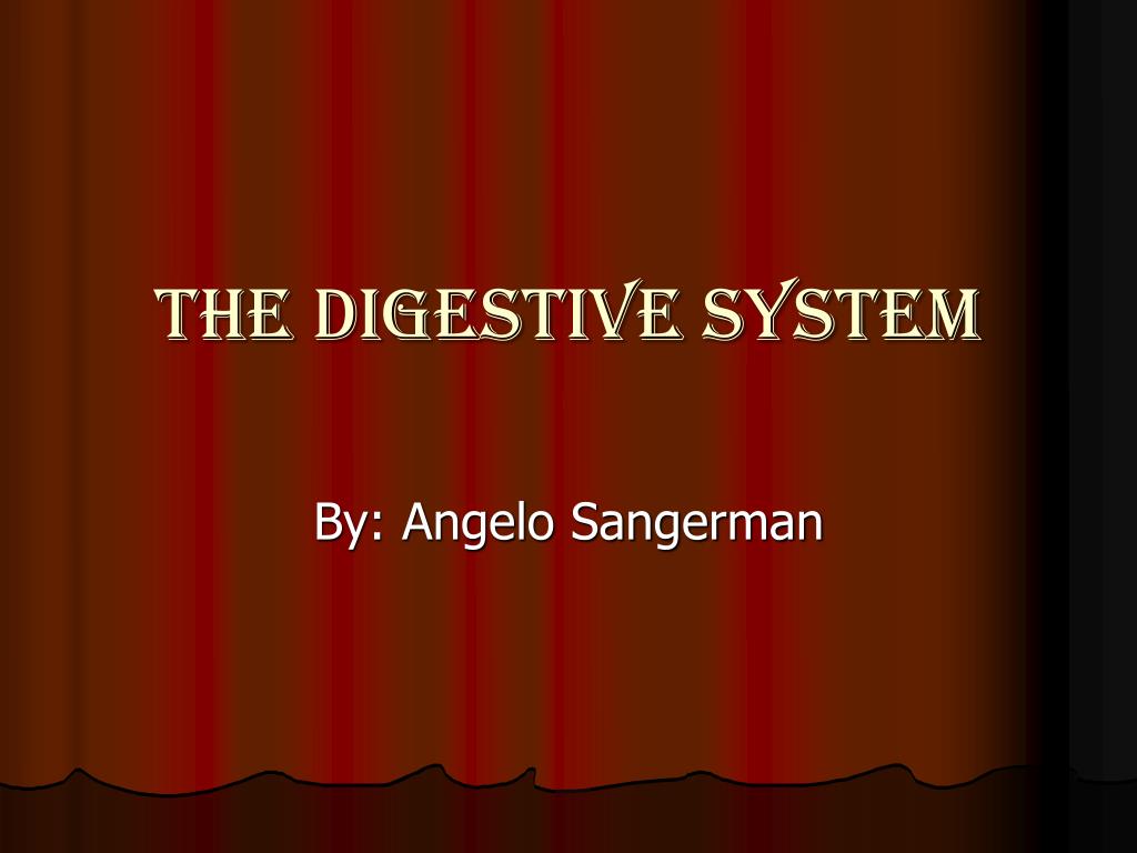 PPT - Understanding the Digestive System: An Overview of Functions and ...