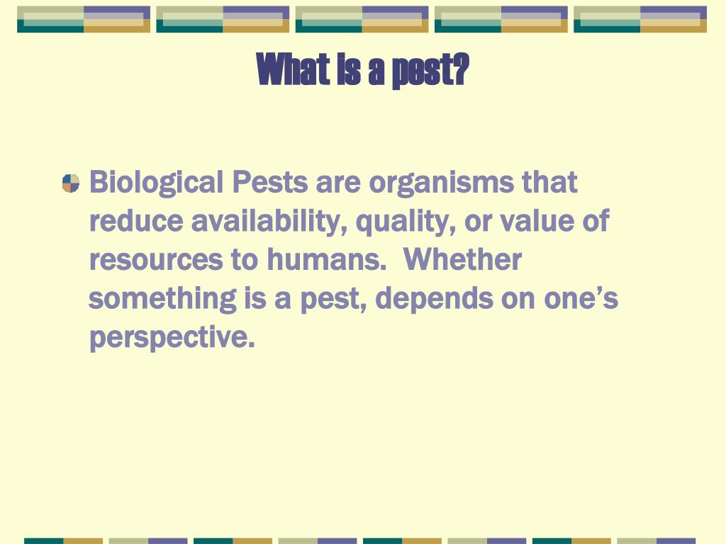 PPT - What is a pest? PowerPoint Presentation, free download - ID:5414375