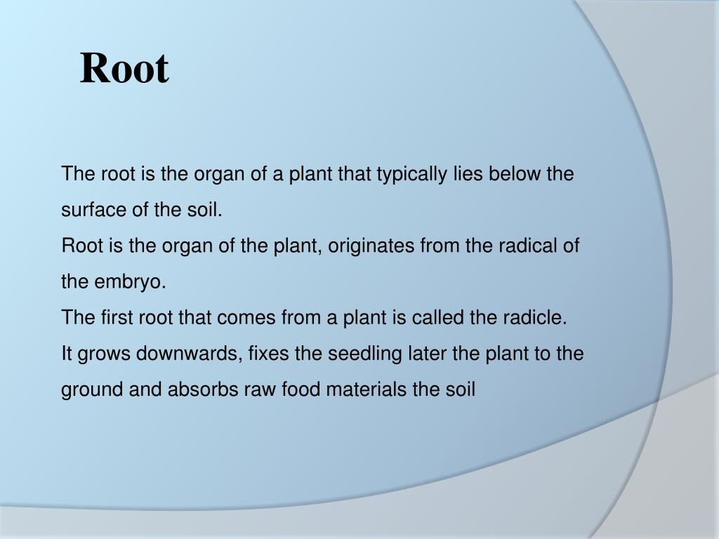 PPT - Root PowerPoint Presentation, free download - ID:5414465