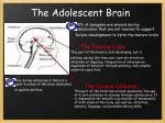 PPT - The Adolescent Brain PowerPoint Presentation, free download - ID ...