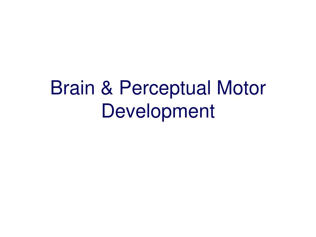 PPT - Brain & Perceptual Motor Development PowerPoint Presentation - ID ...