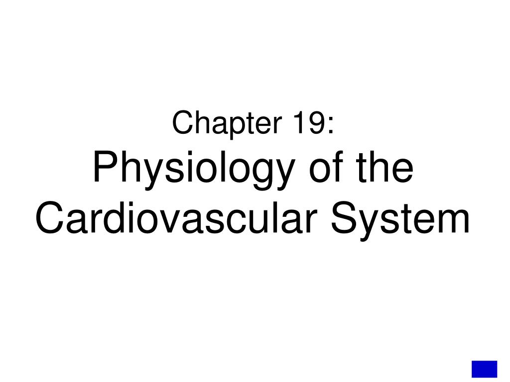PPT - Chapter 19: Physiology of the Cardiovascular System PowerPoint ...