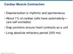 PPT - Cardiac Muscle PowerPoint Presentation, free download - ID:4908428
