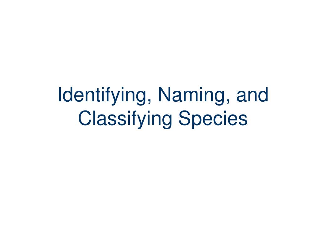 PPT - Identifying, Naming, and Classifying Species PowerPoint Presentation - ID:5417940