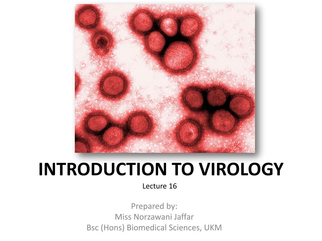 PPT - INTRODUCTION TO VIROLOGY PowerPoint Presentation, free download ...
