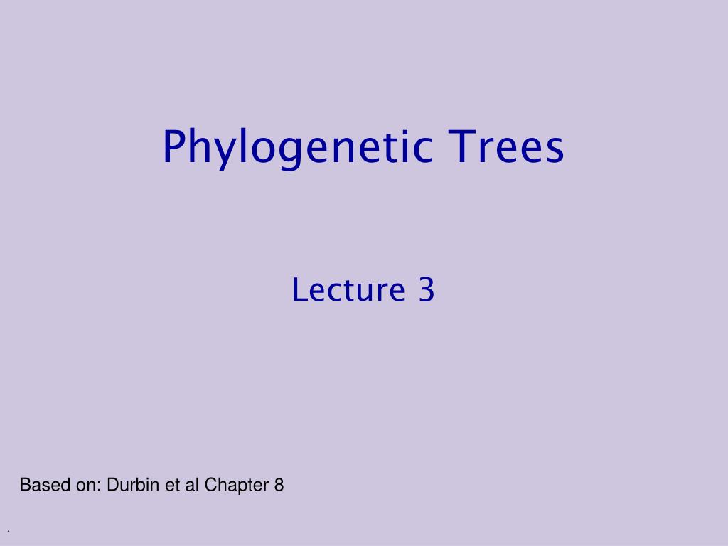 PPT - Phylogenetic Trees Lecture 3 PowerPoint Presentation, free ...