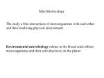 PPT - Oral Microbial Ecology PowerPoint Presentation, free download ...