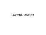 PPT - PLACENTAL MAMMALS CLASSIFICATION PowerPoint Presentation, free ...