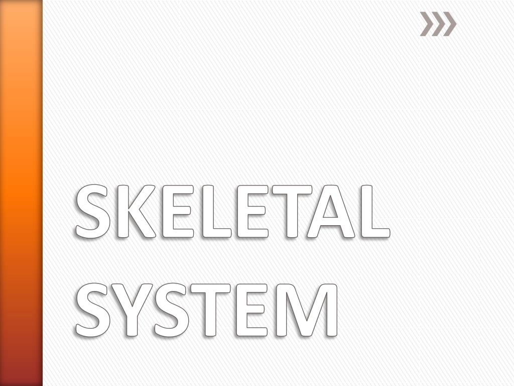 PPT - SKELETAL SYSTEM PowerPoint Presentation, free download - ID:5420223