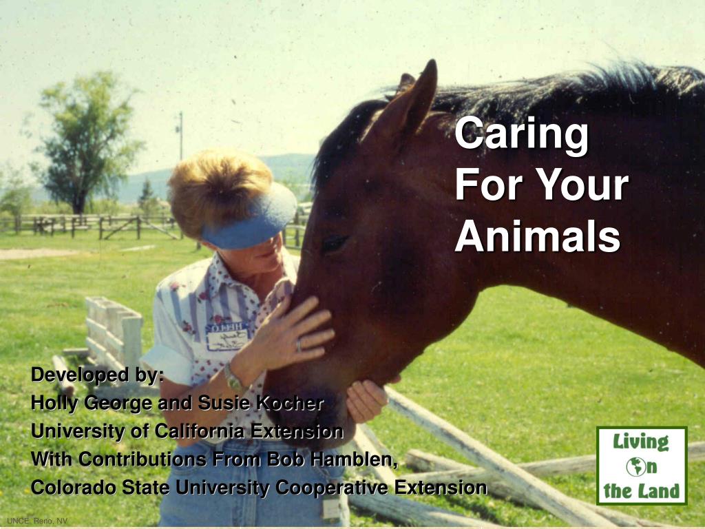 PPT - Caring For Your Animals PowerPoint Presentation, free download ...